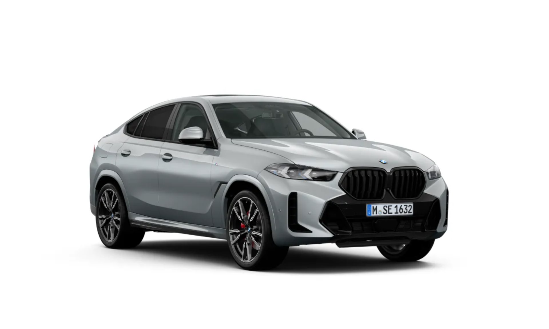 BMW X6 xDrive30d - Gady Family